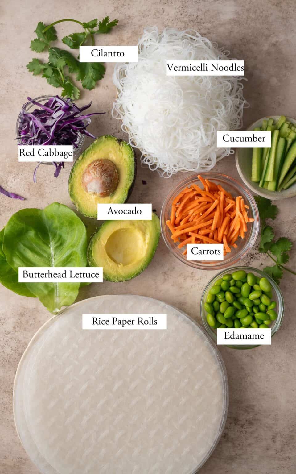 Vegan Rice Paper Rolls with Spicy Peanut Sauce